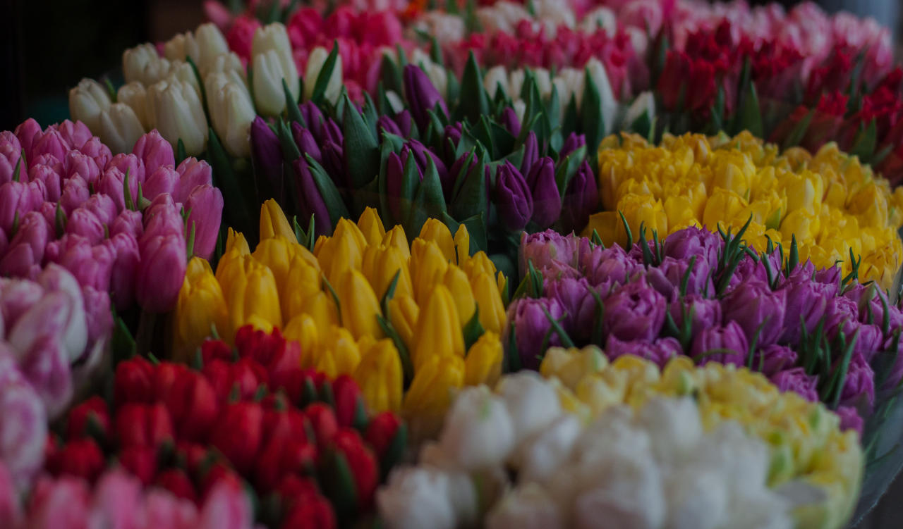 Lydia's Flowers | San Francisco Florist - Delivery - Order Flowers Online