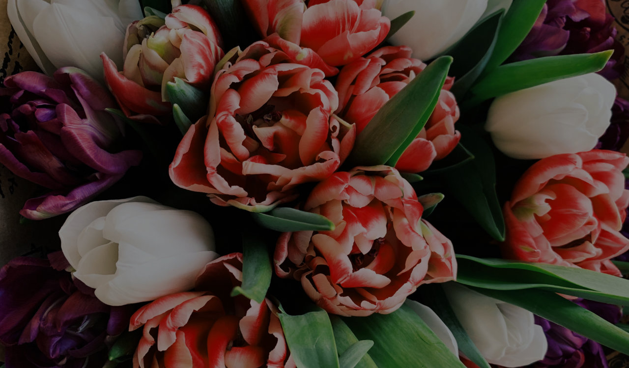 Lydia's Flowers | San Francisco Florist - Delivery - Order Flowers Online